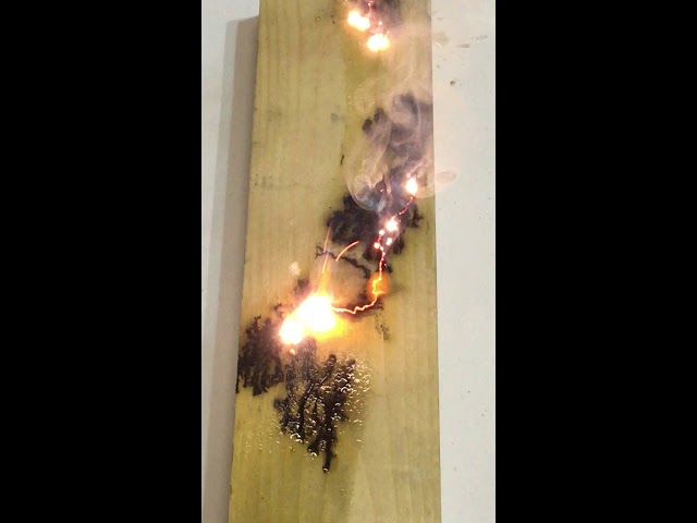 Fractal Wood Burning With Car Battery | Wood Dad