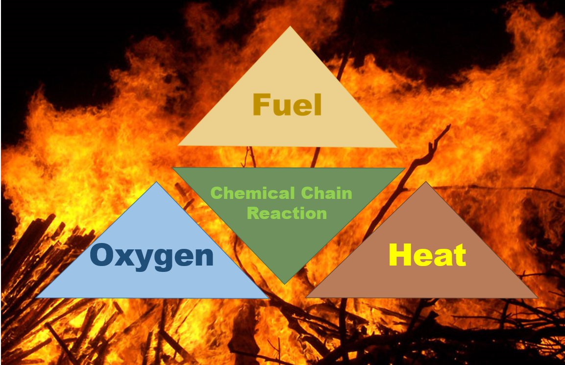 How Hot Does Wood Burn? - Wood Dad