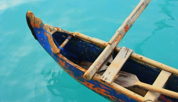 Why Does Wood Float on Water? - Wood Dad