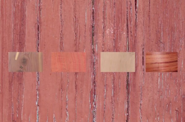 Best Wood for Staining - Wood Dad